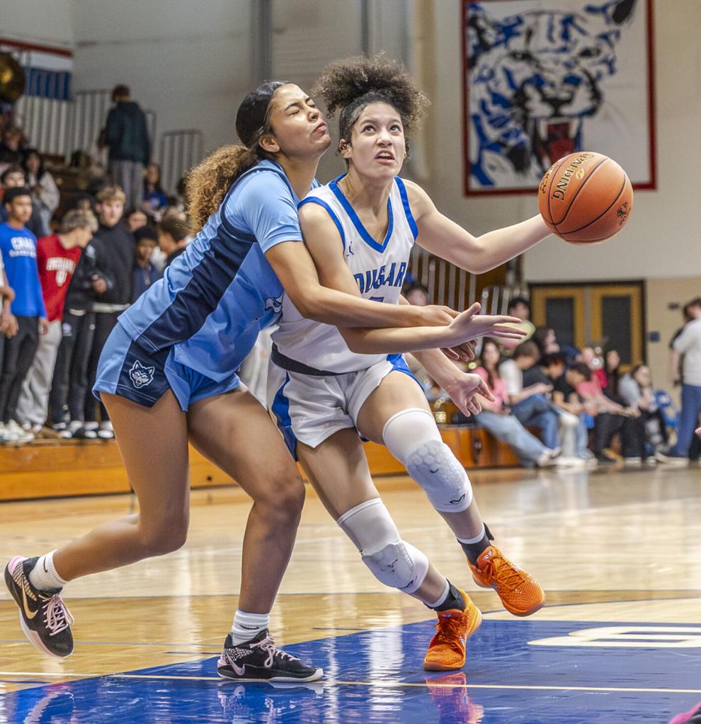 Girls' High School Basketball: Janesville Craig cruises to road victory ...