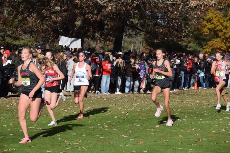 Cross Country: Janesville Craig, local runners compete in WIAA cross ...