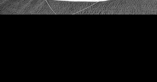 Rebecca Sue “Becky” Maples | Obituaries | gctimesonline.com