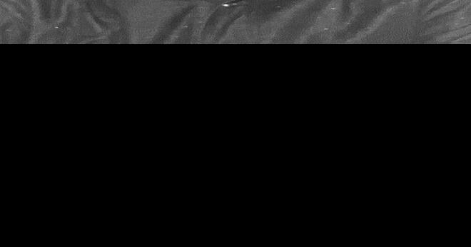 William Cecil “Billy C.” Smith | Obituaries | gctimesonline.com