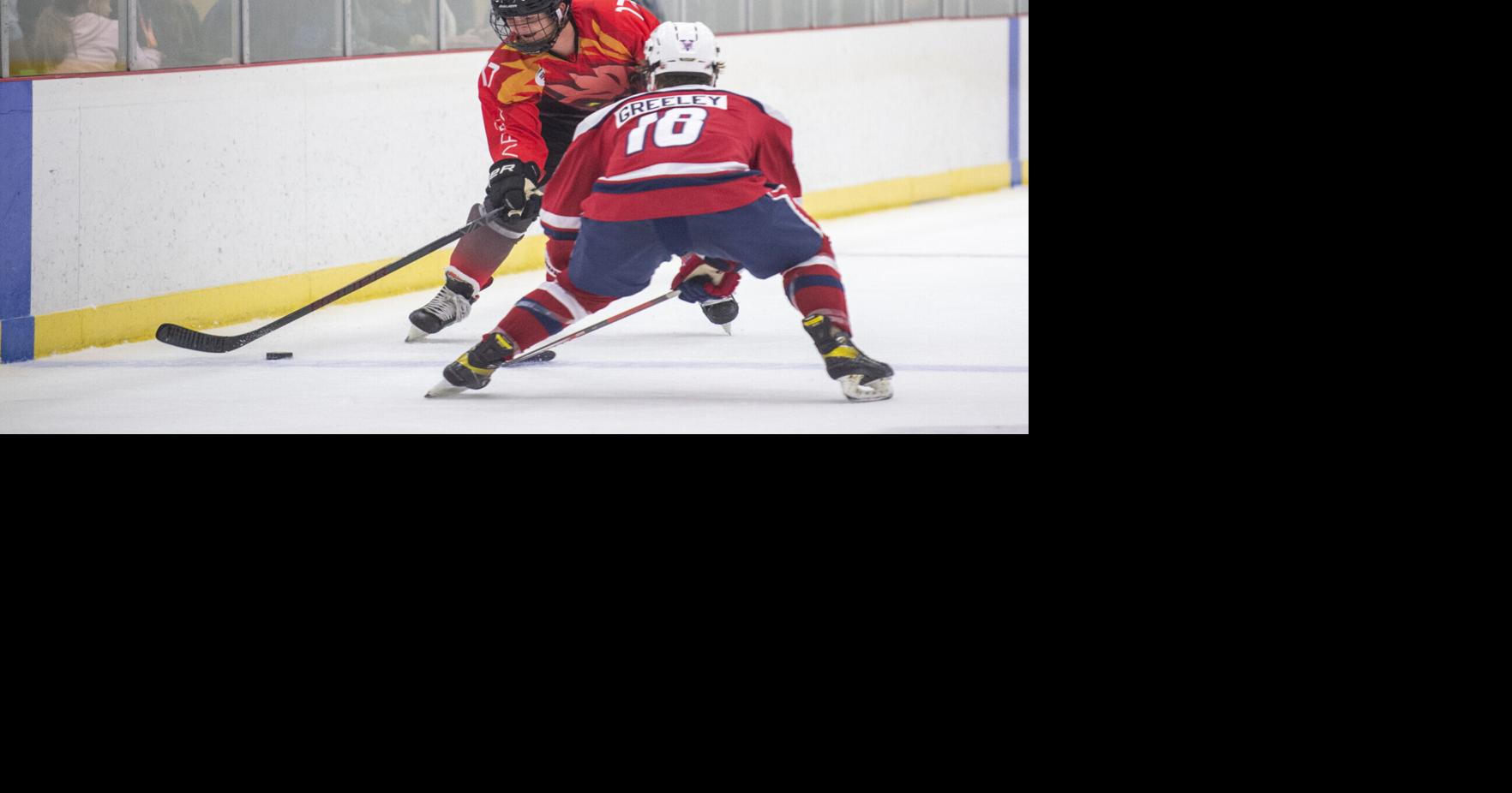Gillette Wild swept by Granite City in non-divisional home series ...