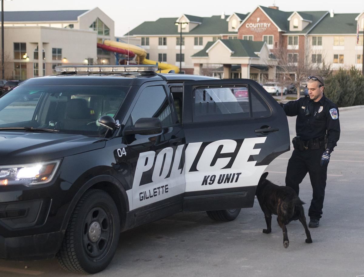 Gillette Police Department K-9 Chase set to retire May 1 | Local News ...