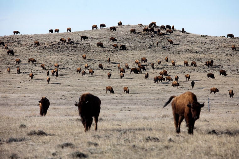 Campbell County’s historic ranches: the Durham Ranch | Archives ...