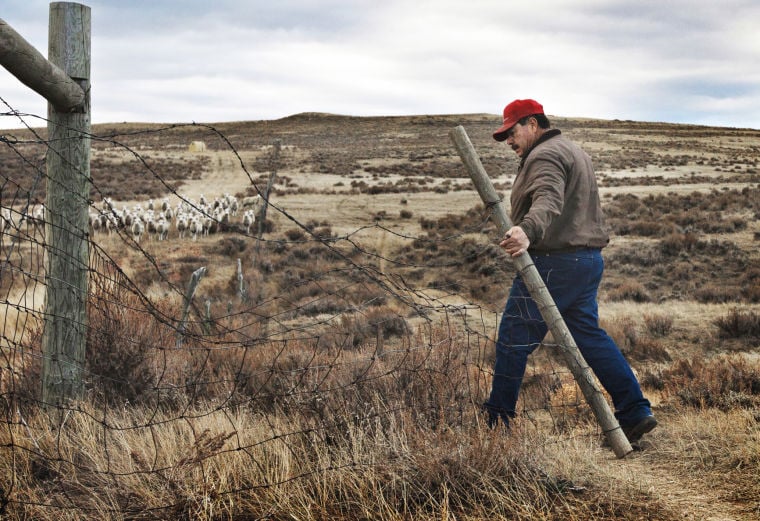 Ranch hands | Gallery | gillettenewsrecord.com