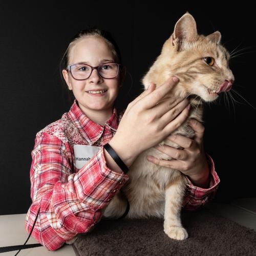 The many faces of Campbell County Fair's annual cat show | Local News ...