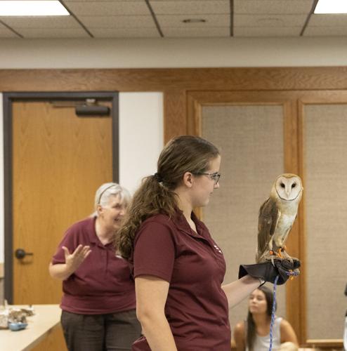 Birds of prey swoop in for a library visit | Local News ...