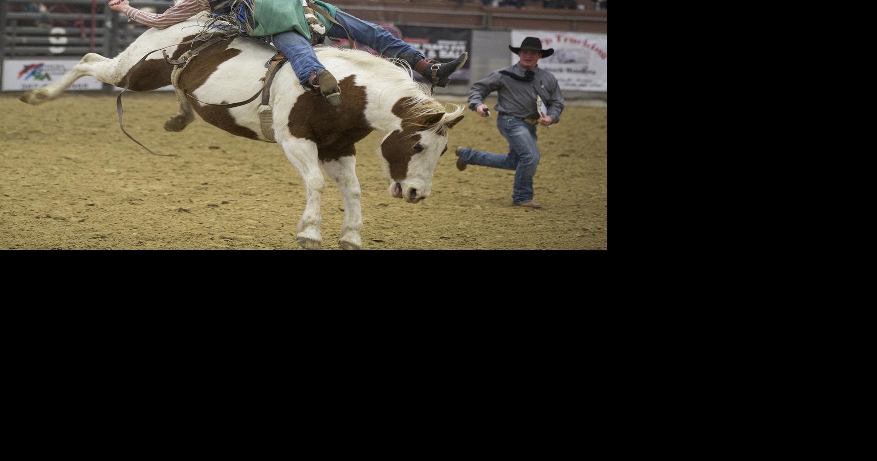 Vezain repeats as bareback champion | Outdoors/Rec | gillettenewsrecord.com