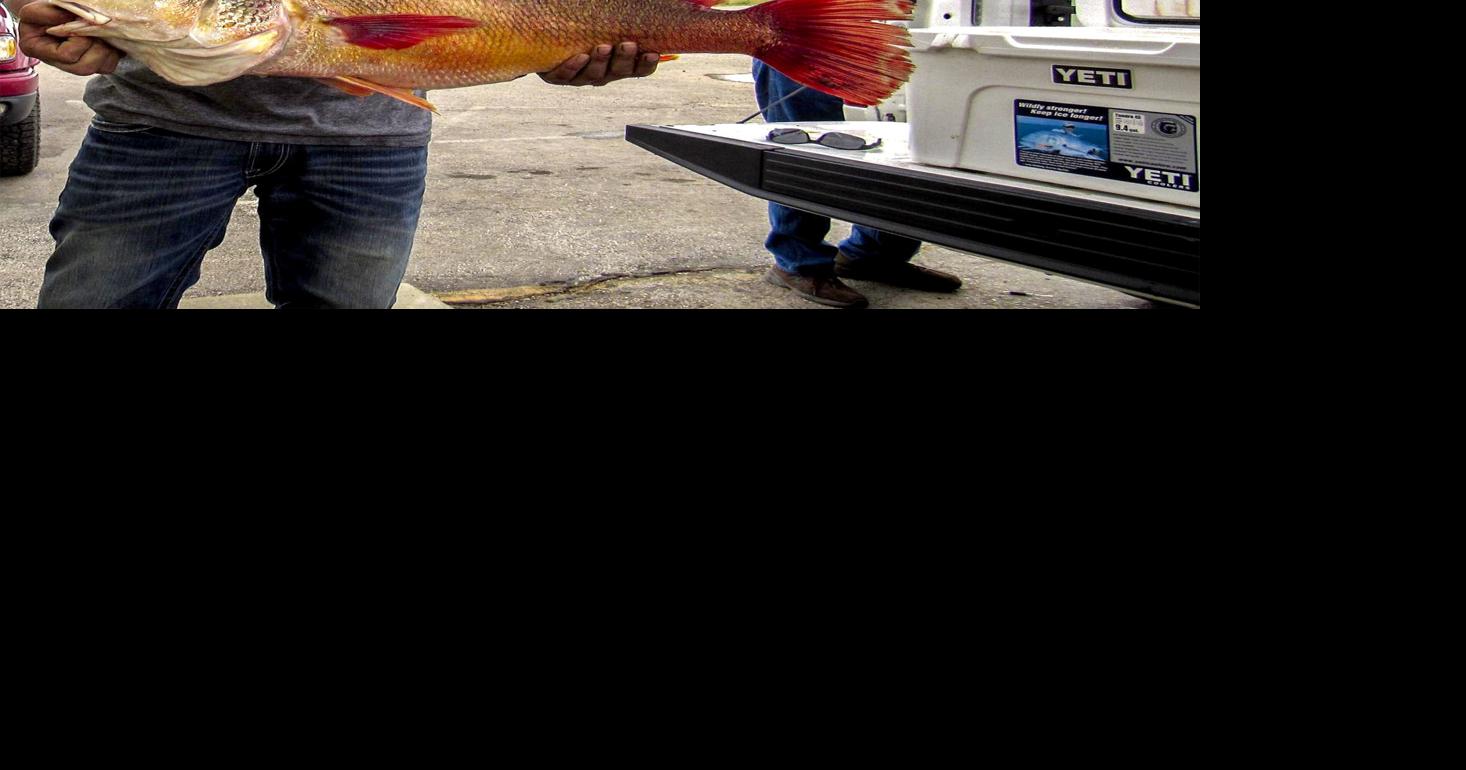 Quite a fish story: Gillette man catches record fish | Outdoors/Rec ...