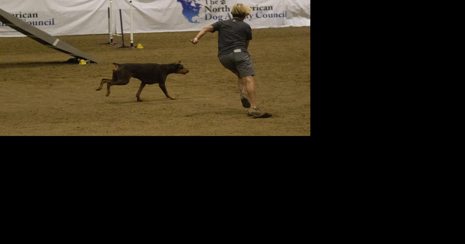 092824-fro-dog 4.jpg | | gillettenewsrecord.com