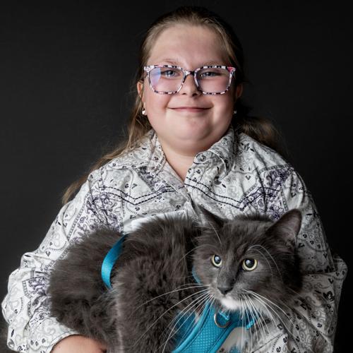 The many faces of Campbell County Fair's annual cat show | Local News ...