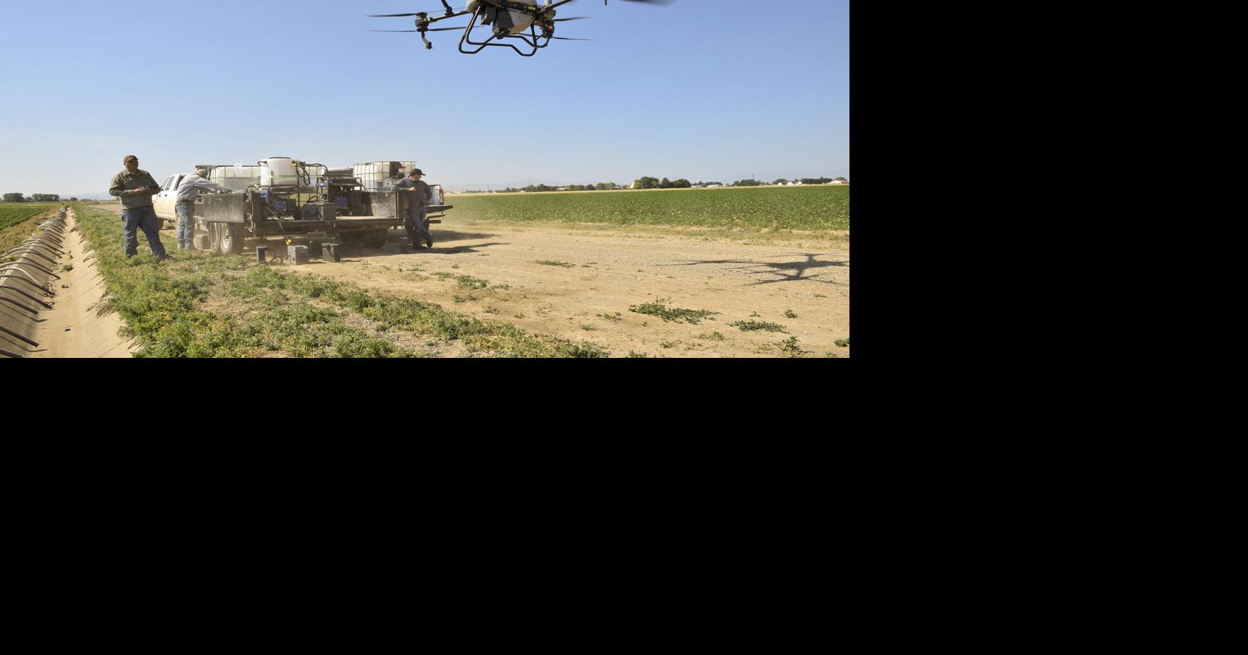 crop dusting someone