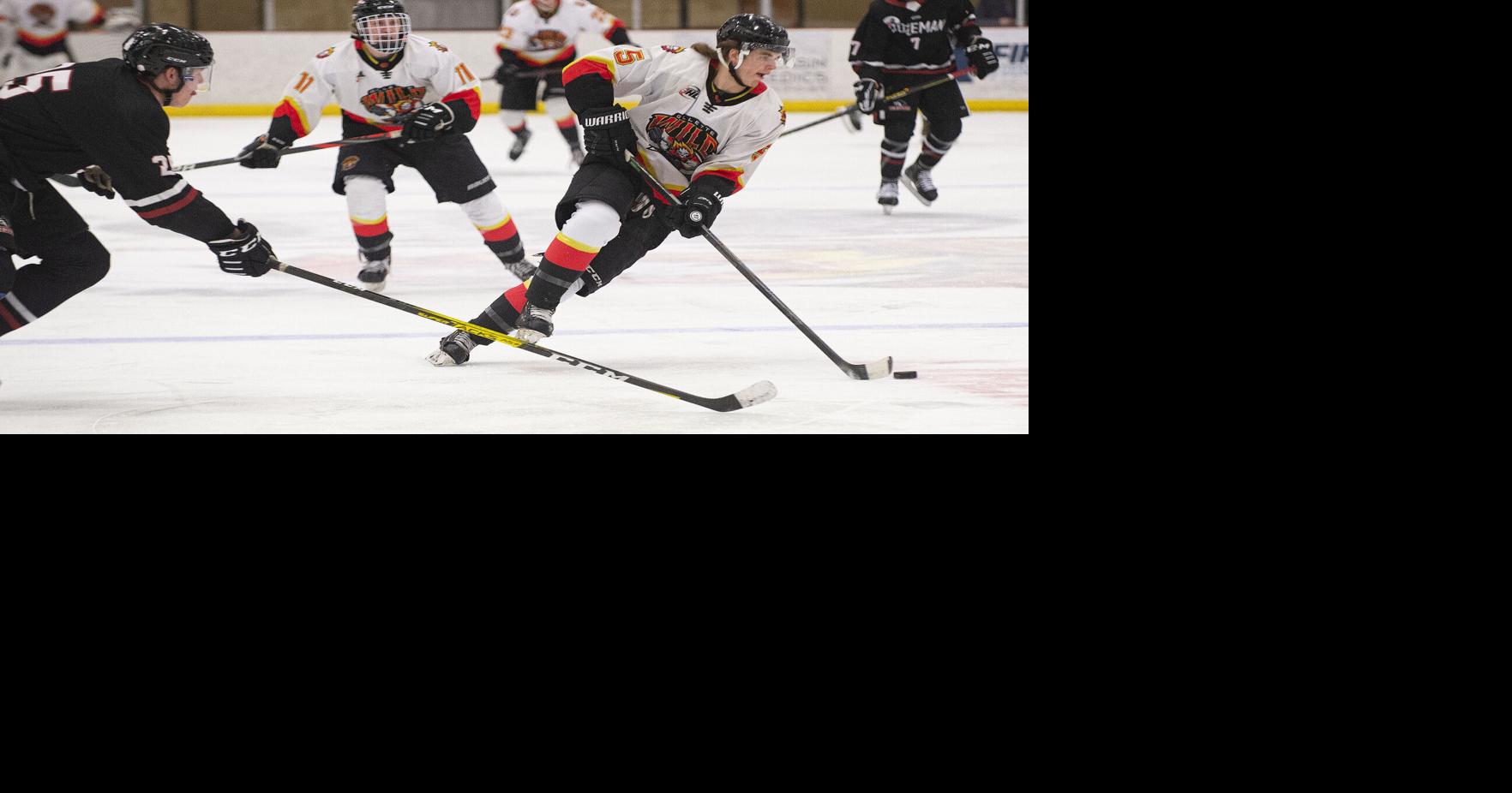 Gillette Wild win first playoff series in team history | Local ...