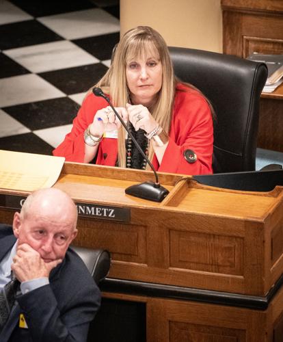 Senate votes to defund DEI, gender studies at UW | Wyoming ...