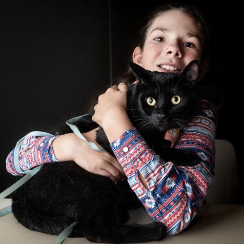 The many faces of Campbell County Fair's annual cat show | Local News ...