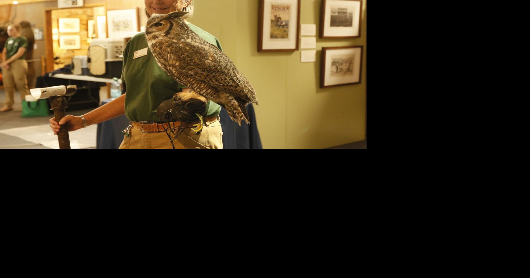 Kids learn about the birds of prey in their own backyard at the ...