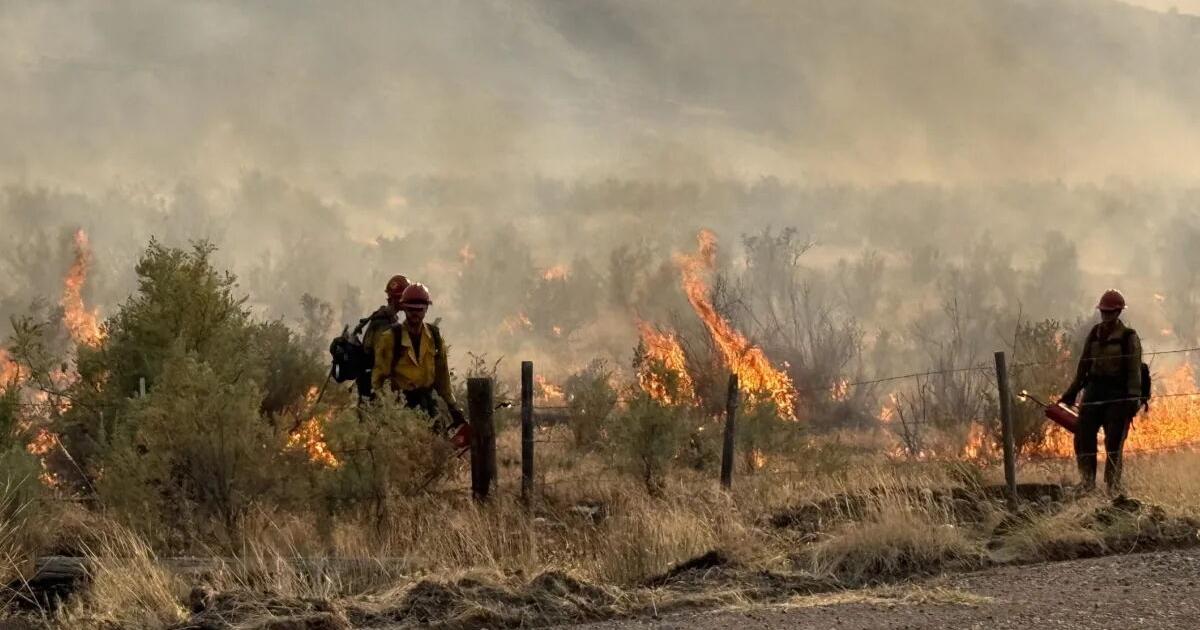 Wyoming’s Red Canyon Fire balloons to over 107,000 acres amid ...