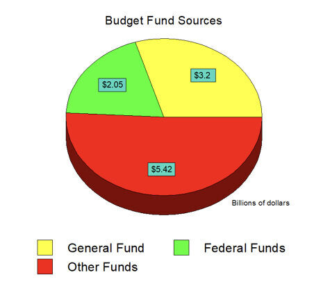 Understand the state budget before it's too late | Columnists ...