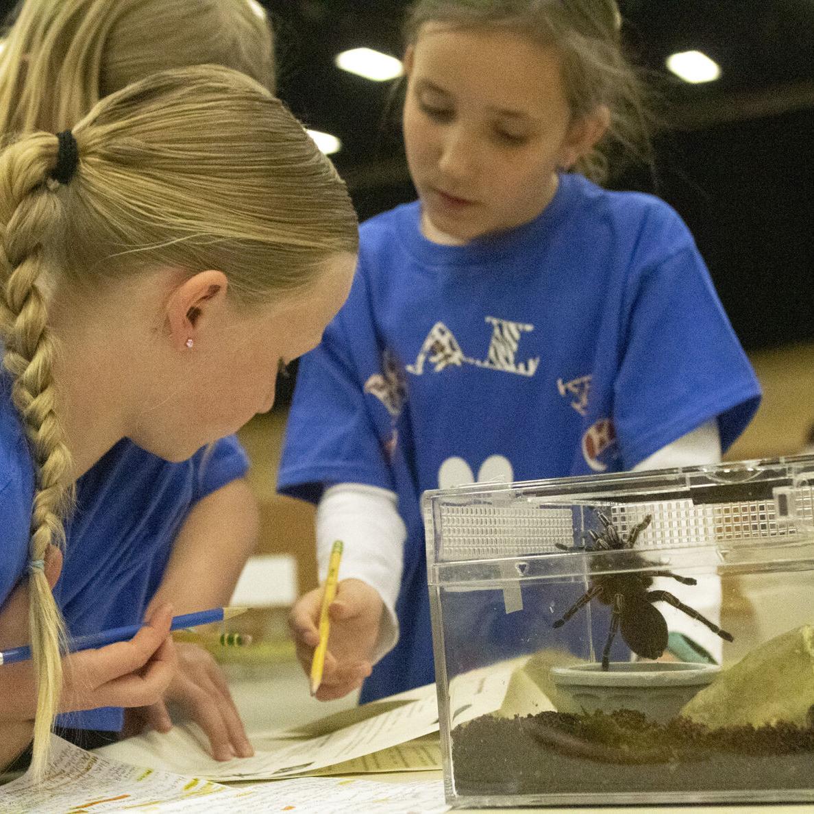 Campbell County’s historic ranches: the Durham Ranch | Archives ...