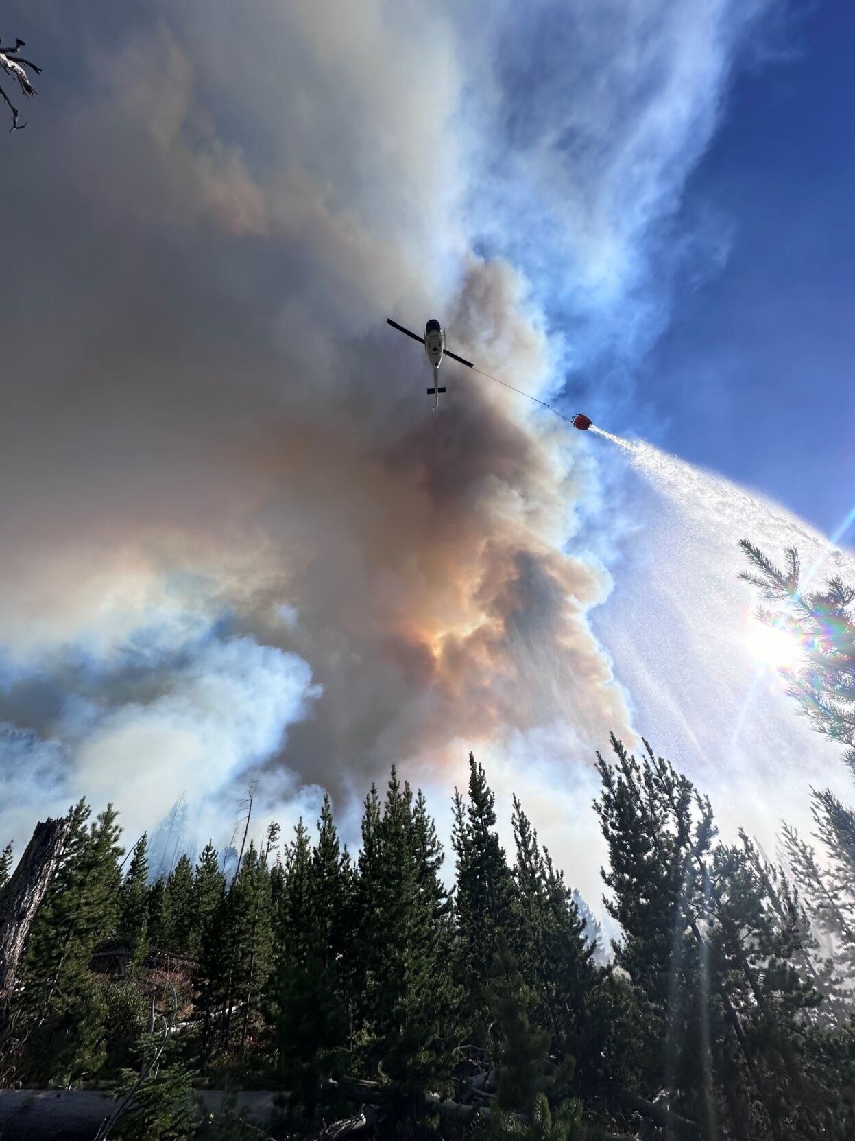 Federal wildland firefighters face pay cut of up to 50% | Wyoming ...