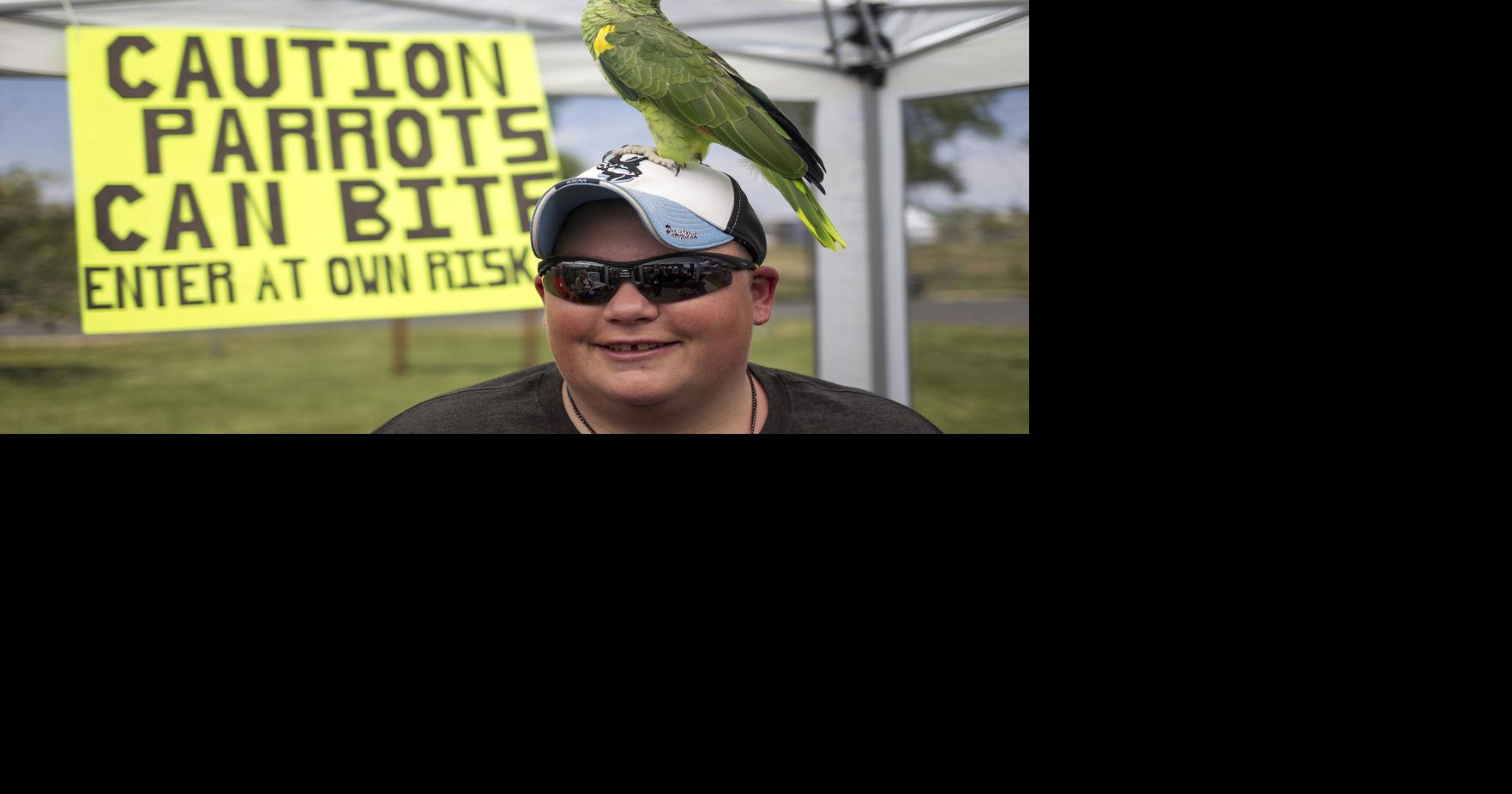 Meet the birds | Local News | gillettenewsrecord.com