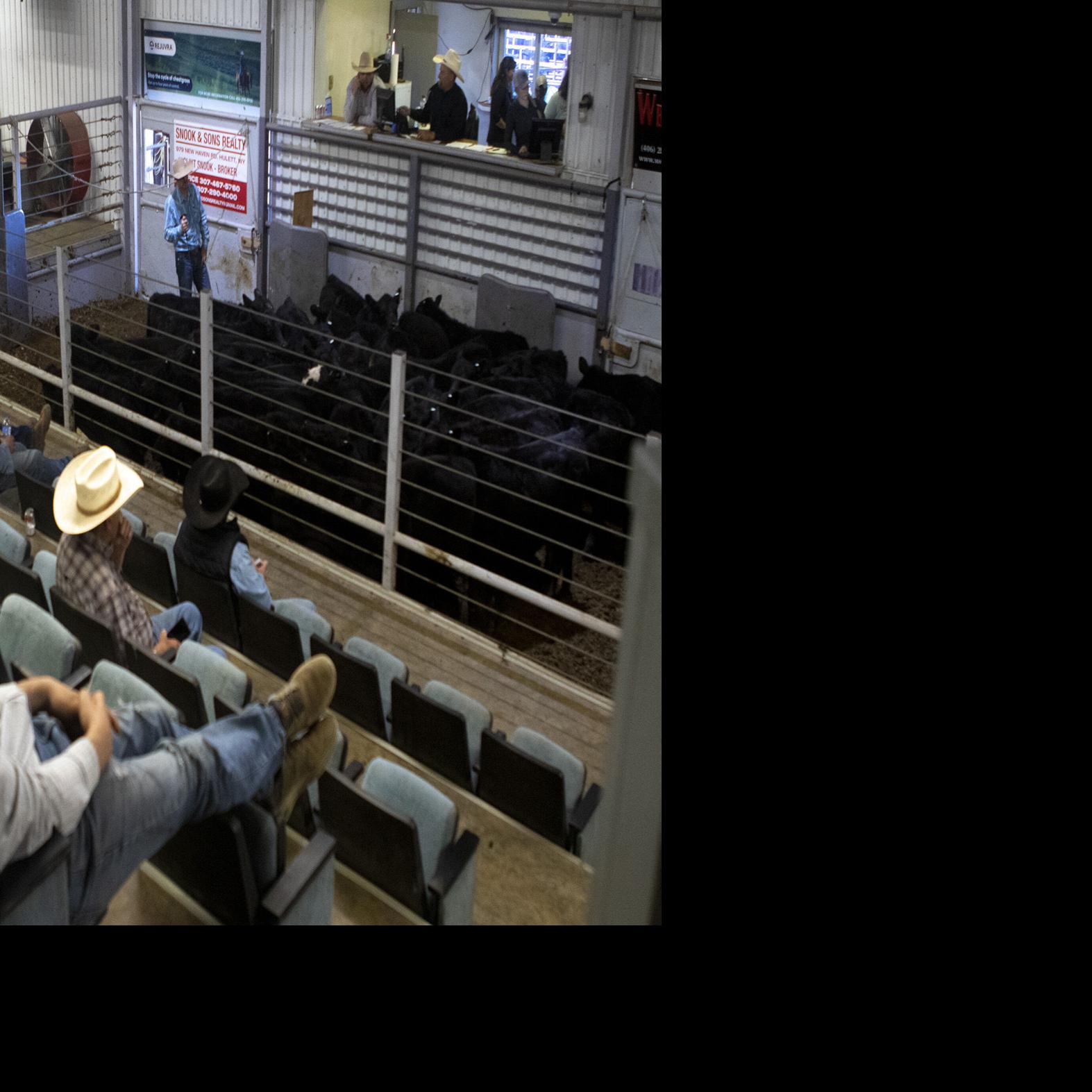 Richard Davis | Obituaries | gillettenewsrecord.com