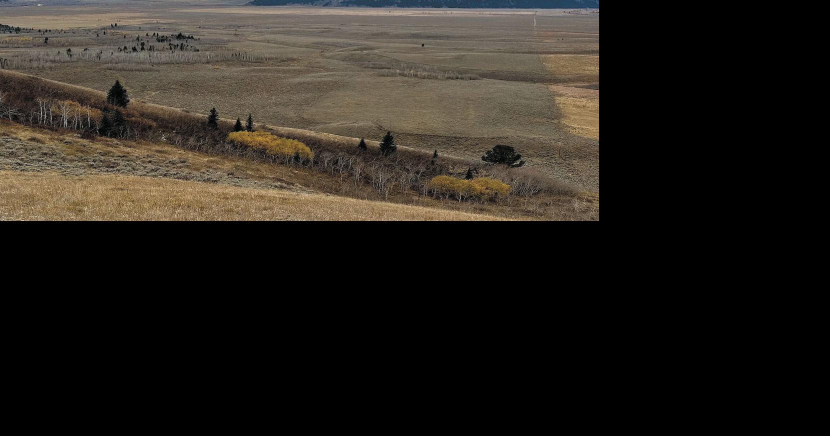 $100 million for the Kelly parcel? What about three-quarters of a ...