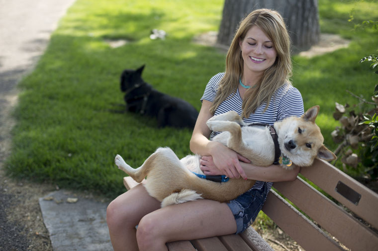 Gillette Dog Owners Group one step closer to building fenced-in park ...