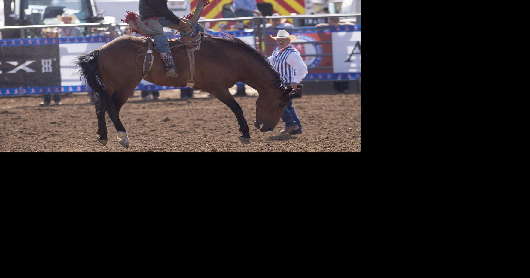 Louisiana bull rider found love of sport after his first secret ride ...