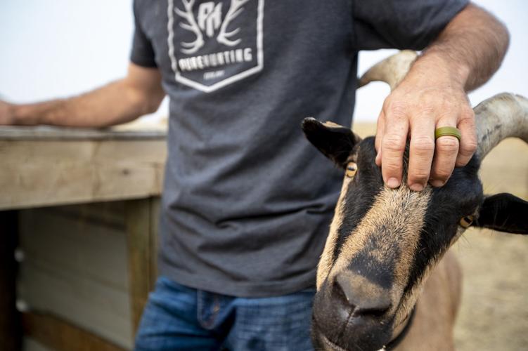 Shawn and Zach Dorr's merry band of pack goats offer wilderness ...
