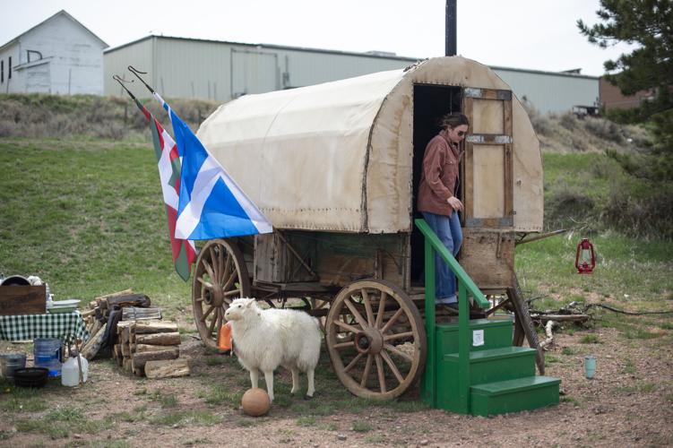 Sheepherder’s Festival showcases culture of shepherds past and present ...