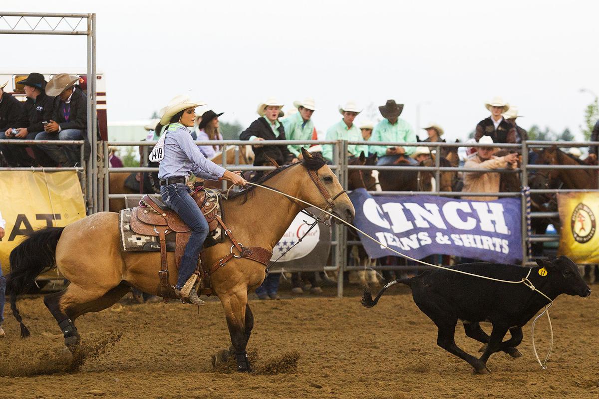 Louisiana cowboy sets high standard in steer wrestling | Nhsfr ...