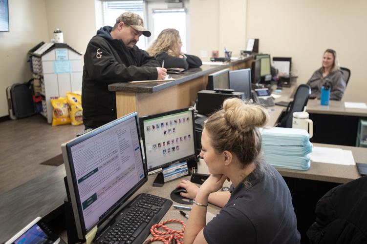 Animal shelter sees high demand, surge of dogs | Living & Community ...