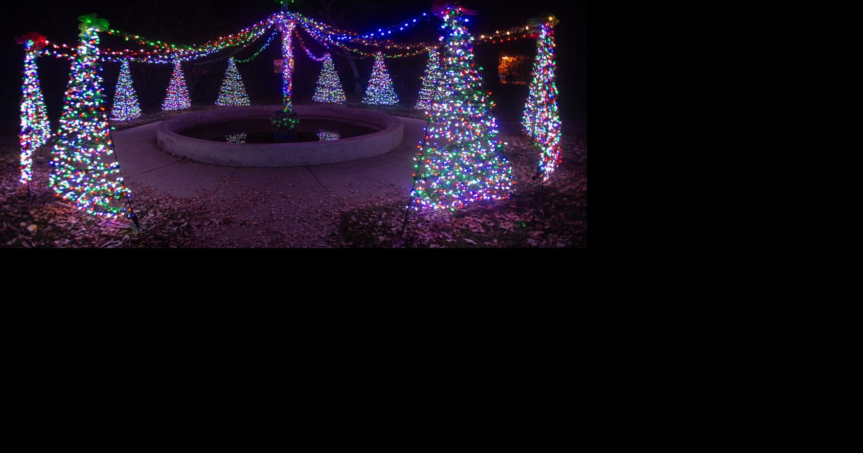 New foundation has big plans for the Festival of Lights in coming years ...