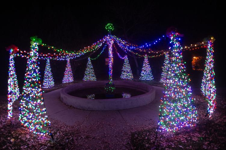 New foundation has big plans for the Festival of Lights in coming years ...