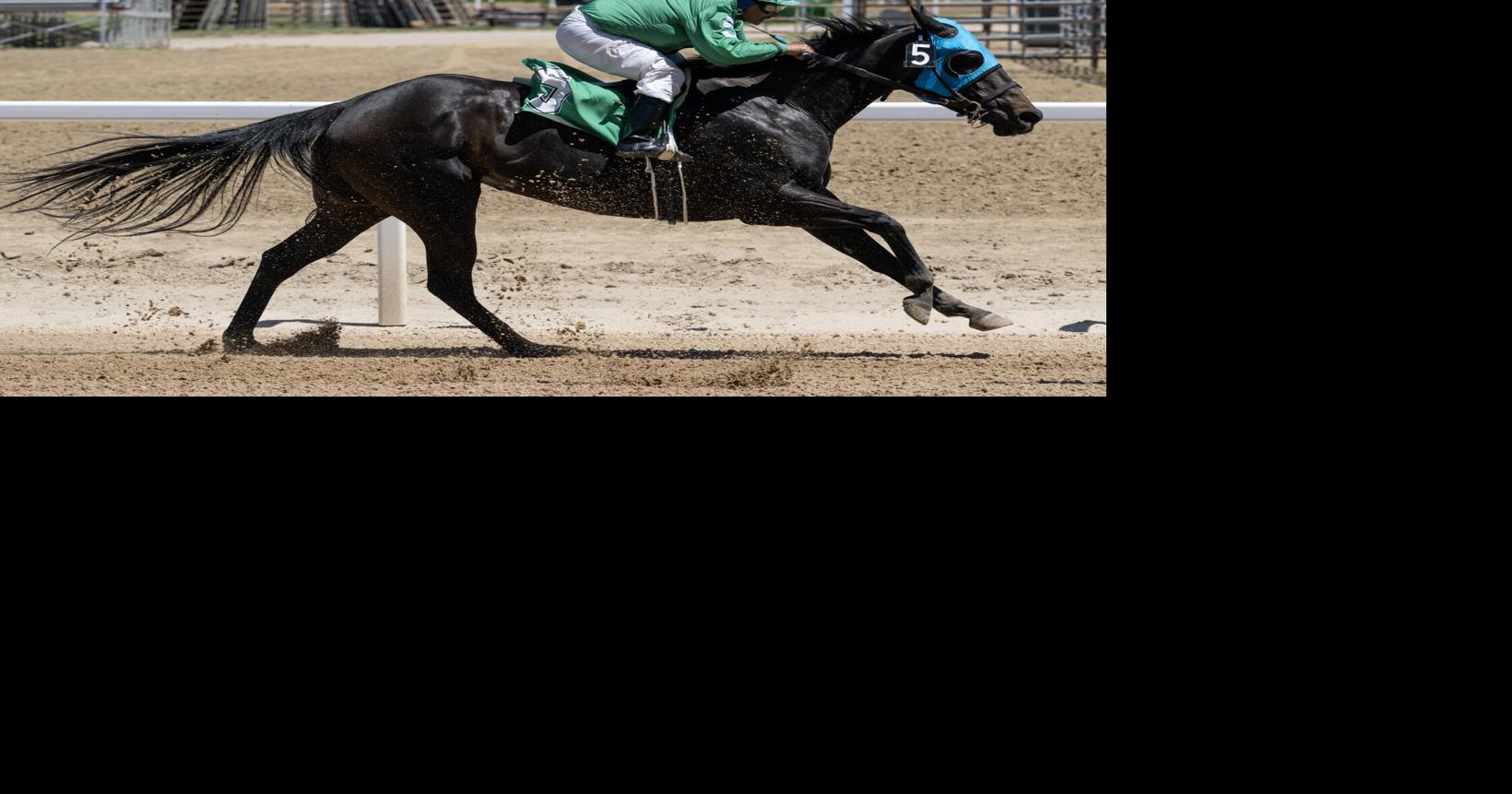 ‘In my blood’: 63-year-old jockey continues family history and horse ...