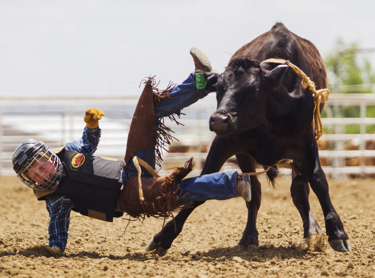 Little Levi Rodeo | Sports | gillettenewsrecord.com
