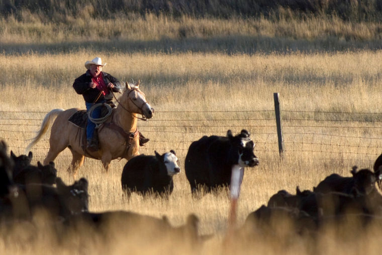 Campbell County’s historic ranches: the Moore Ranch | Archives ...