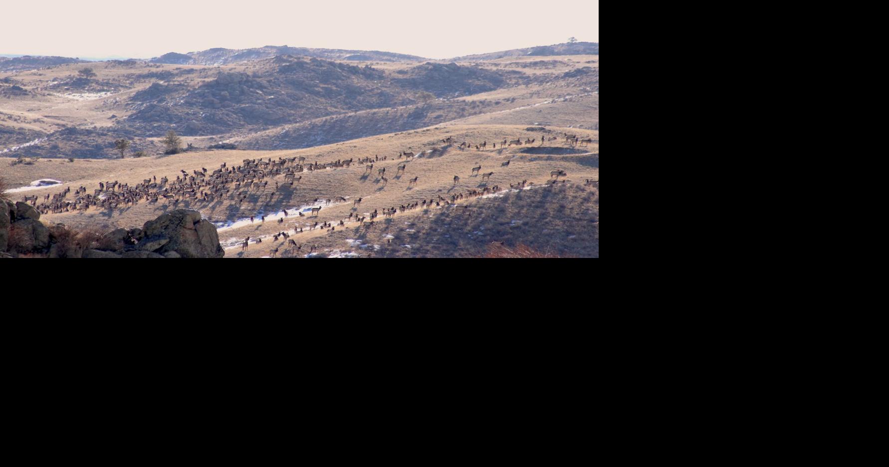 No one is using a controversial compensation program for grass lost to ...