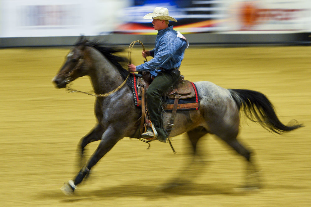 Idaho reigns in reined cow horse | Nhsfr | gillettenewsrecord.com