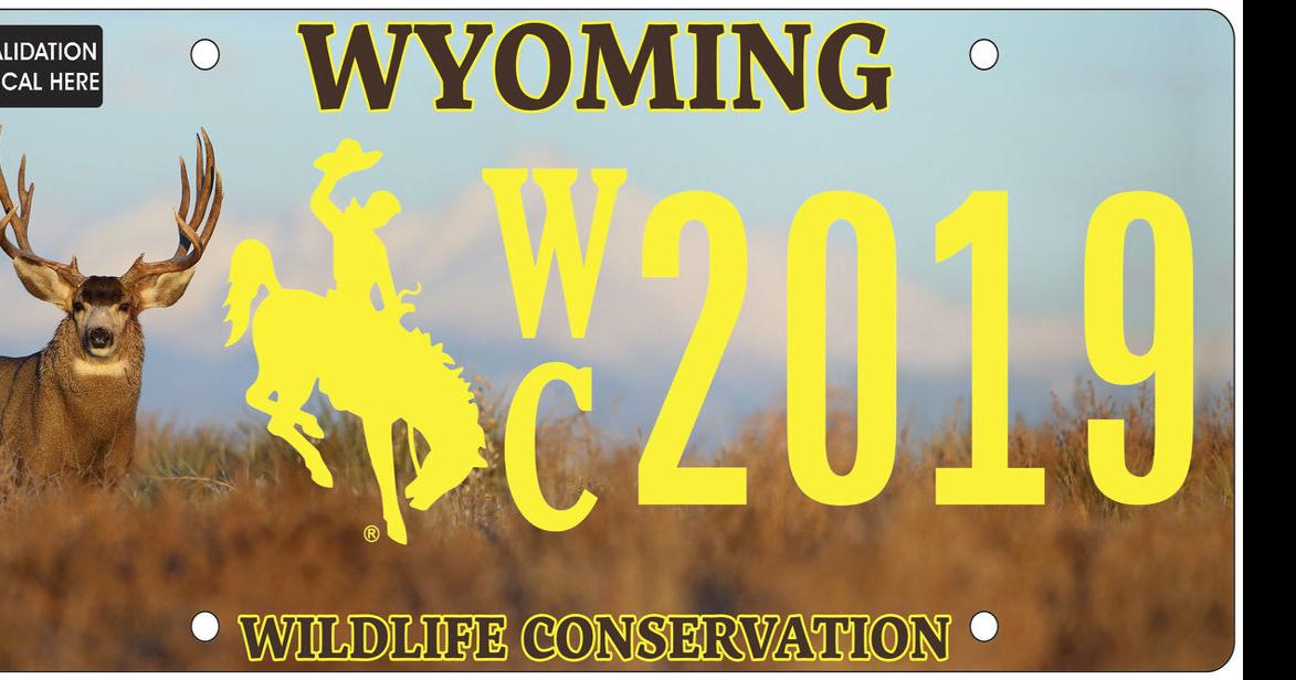 New wildlife conservation license plate now available | Local News ...