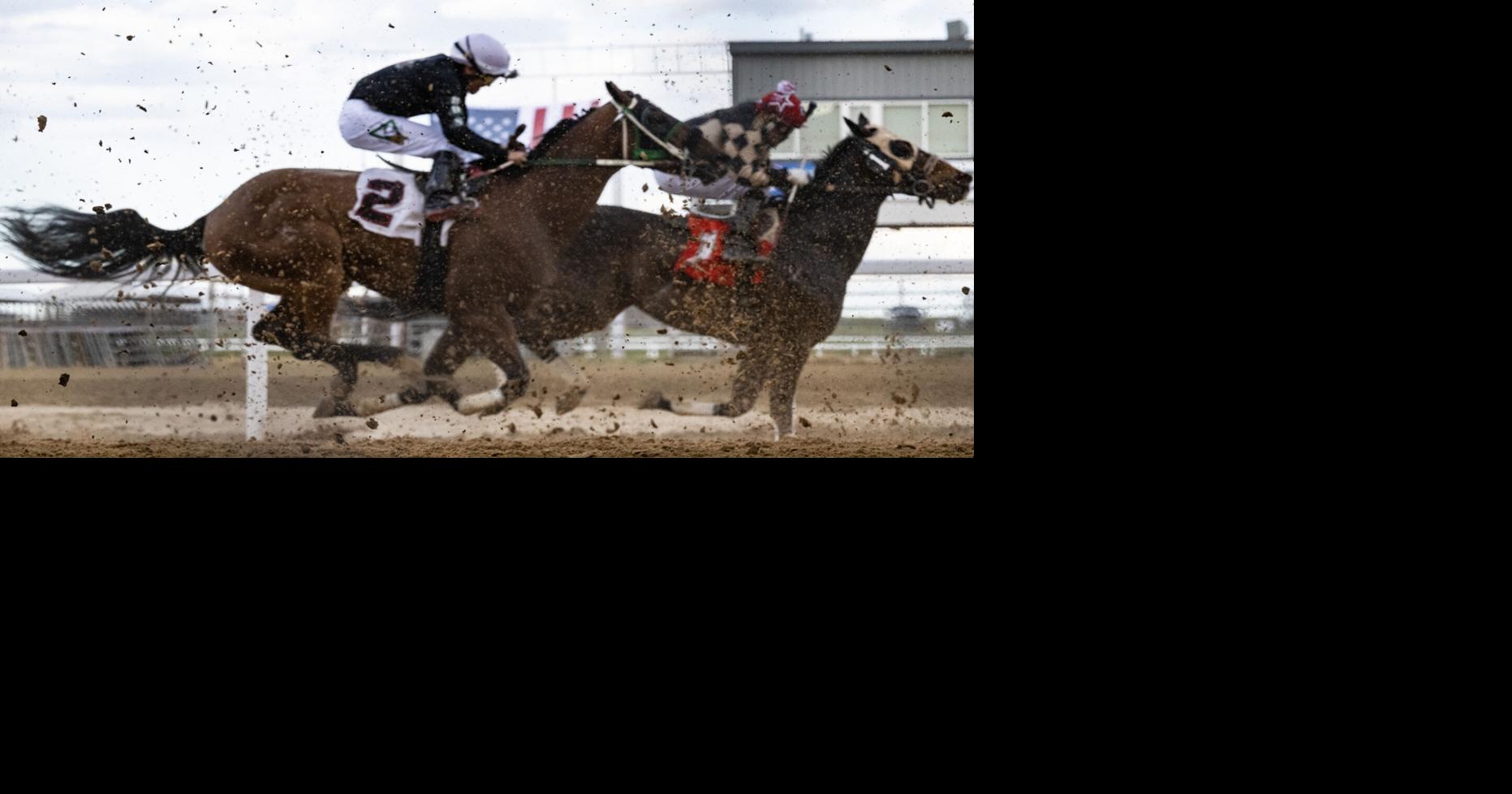 Live horse racing includes bronc riding event | Local News ...
