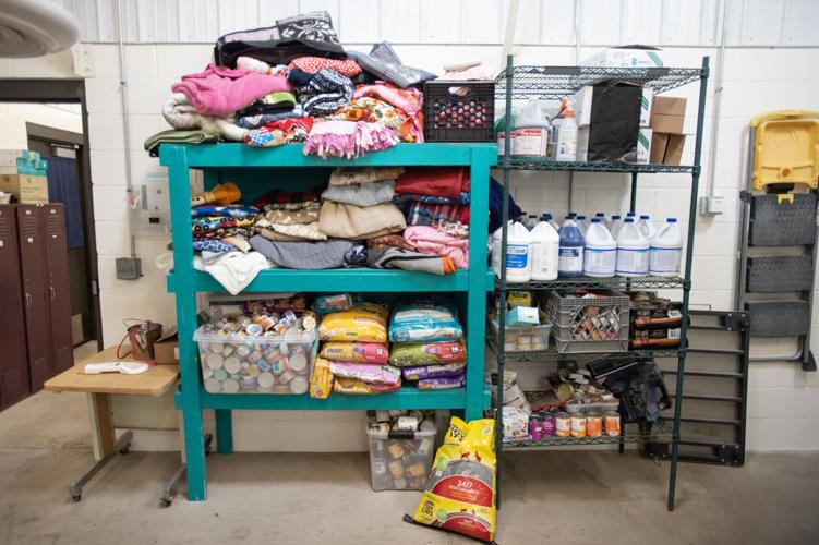 Animal shelter sees high demand, surge of dogs | Living & Community ...