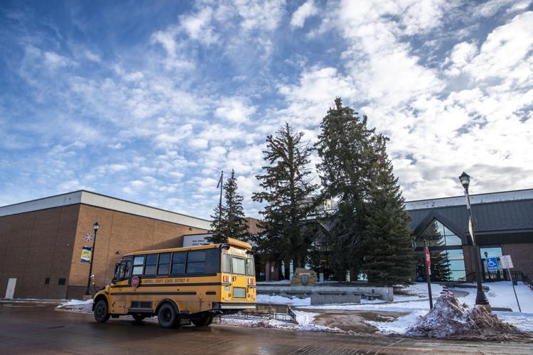 Namesake Twin Spruce trees to be cut down | Local News ...