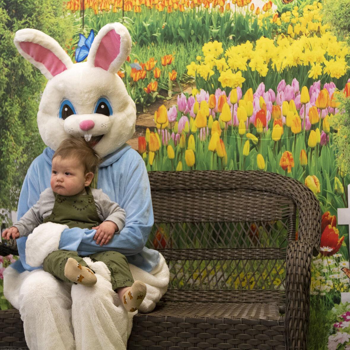 Michael Montano changes plea in murder case, admits killing Brewer ...