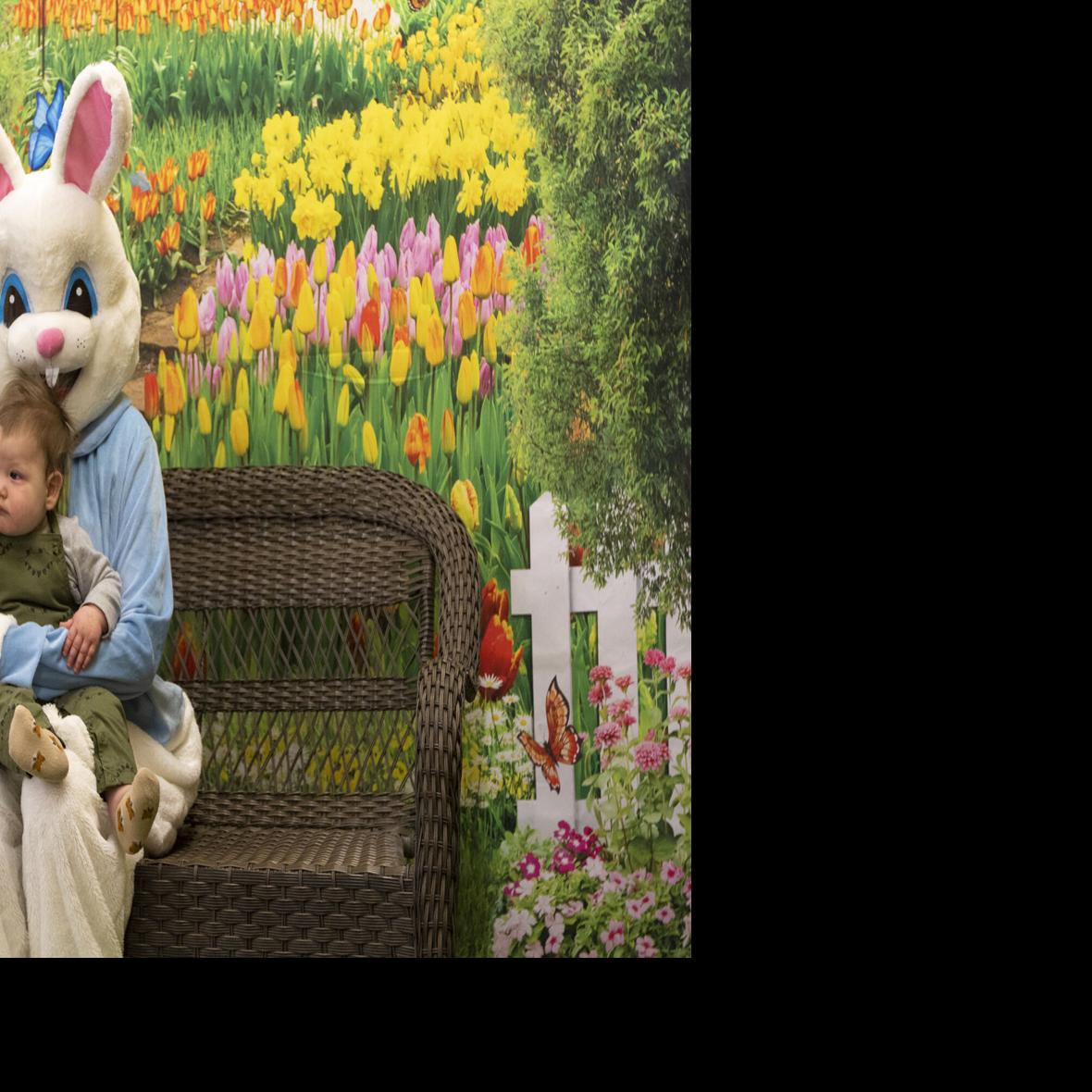 Michael Montano changes plea in murder case, admits killing Brewer ...