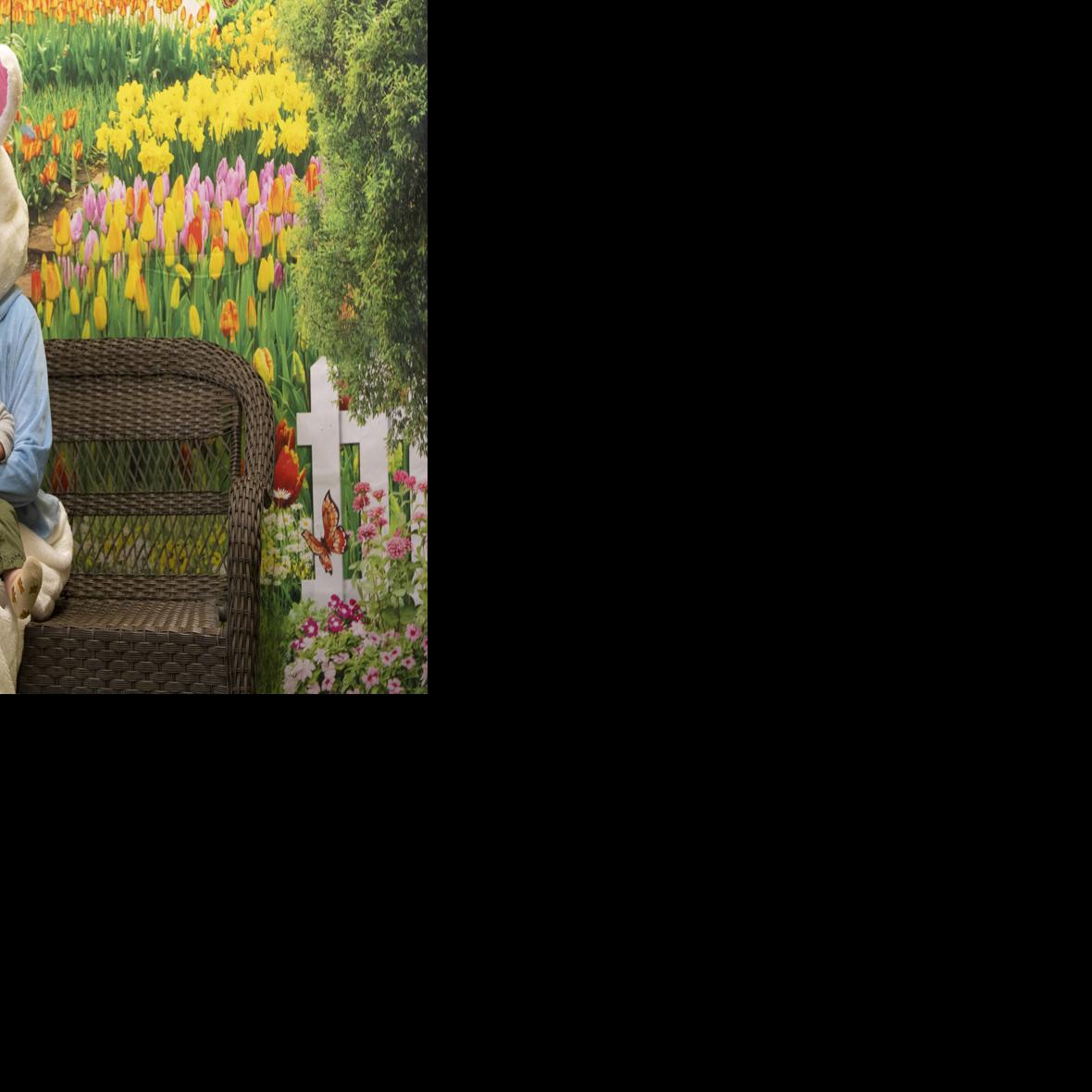 Michael Montano changes plea in murder case, admits killing Brewer ...