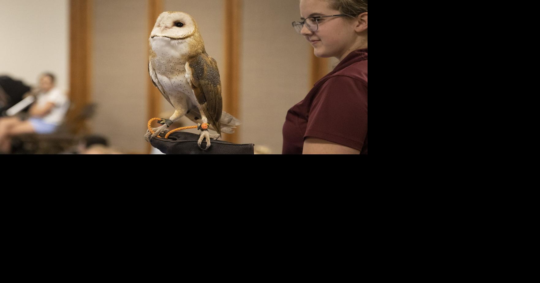 Birds of prey swoop in for a library visit | Local News ...