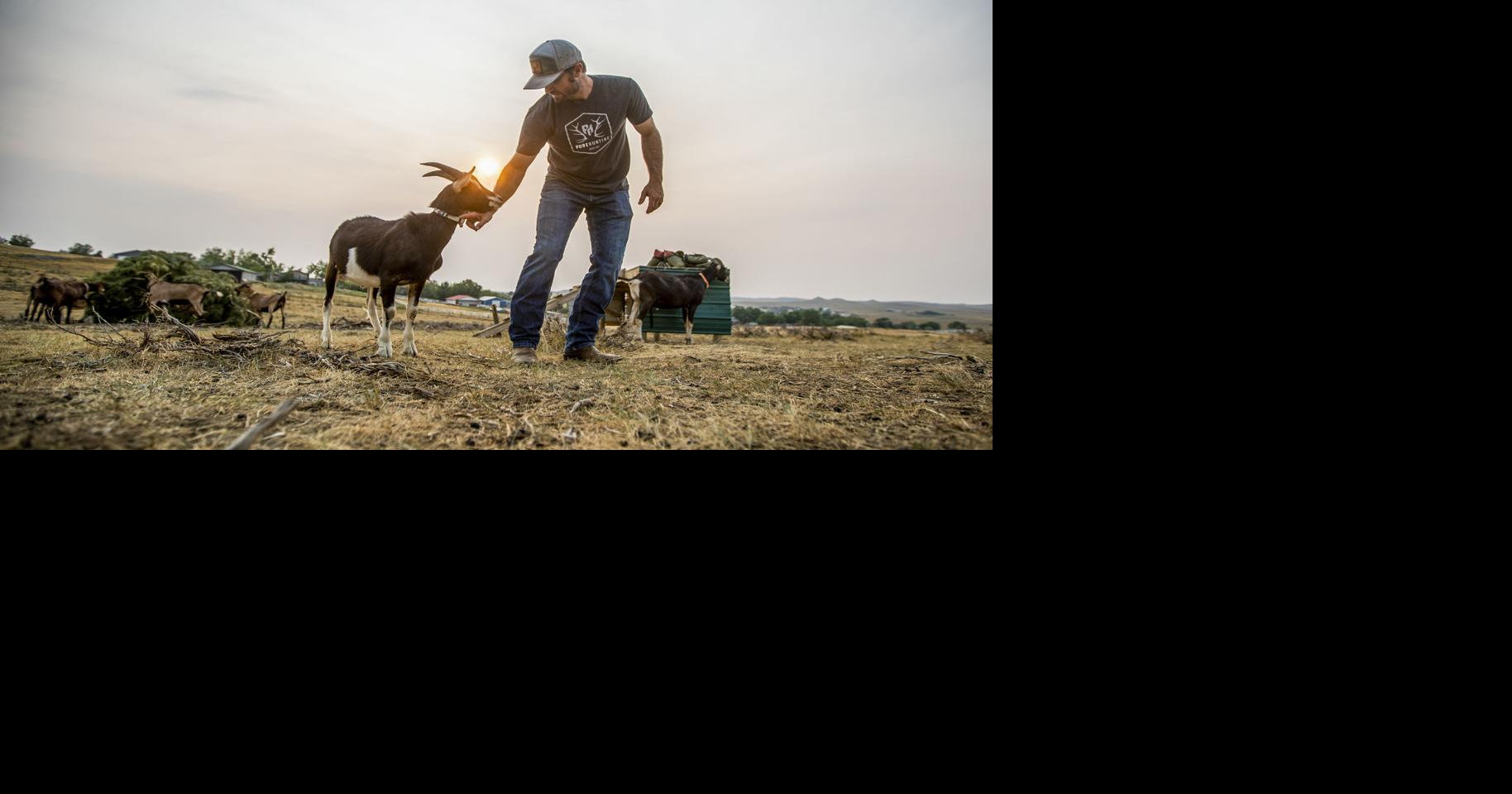 Shawn and Zach Dorr's merry band of pack goats offer wilderness ...