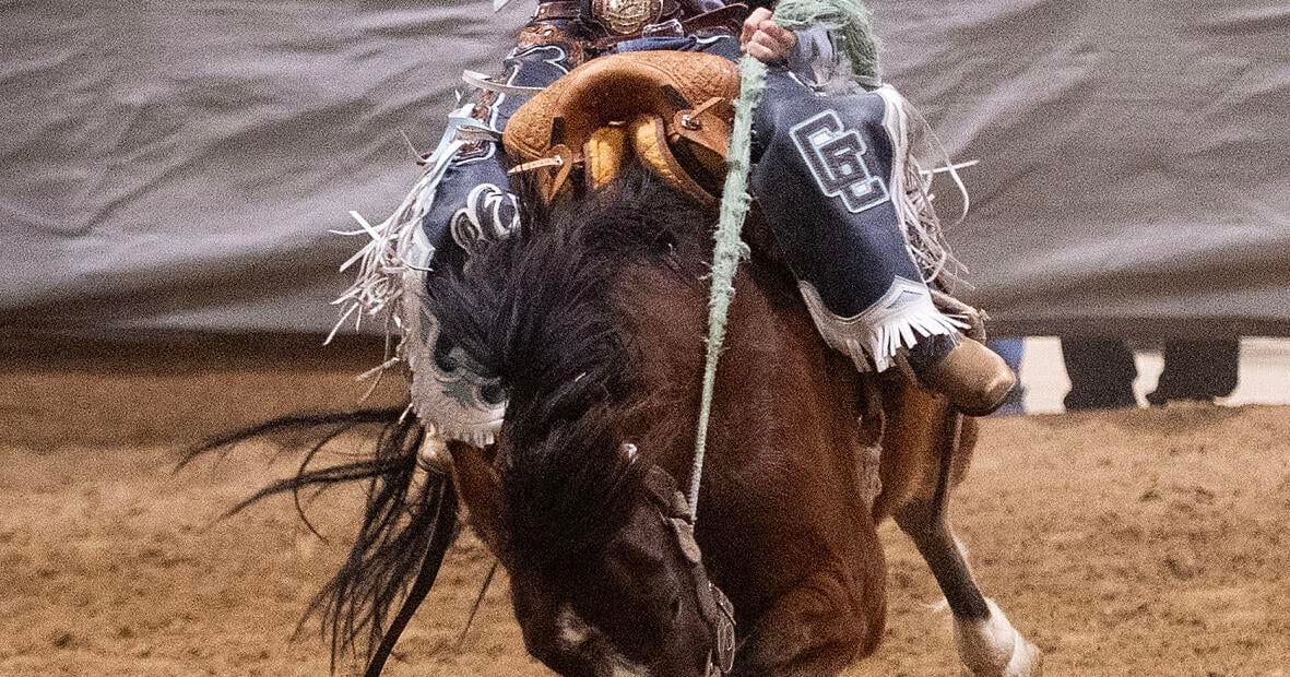 Gillette College's rodeo team to perform at Cam-plex this weekend ...
