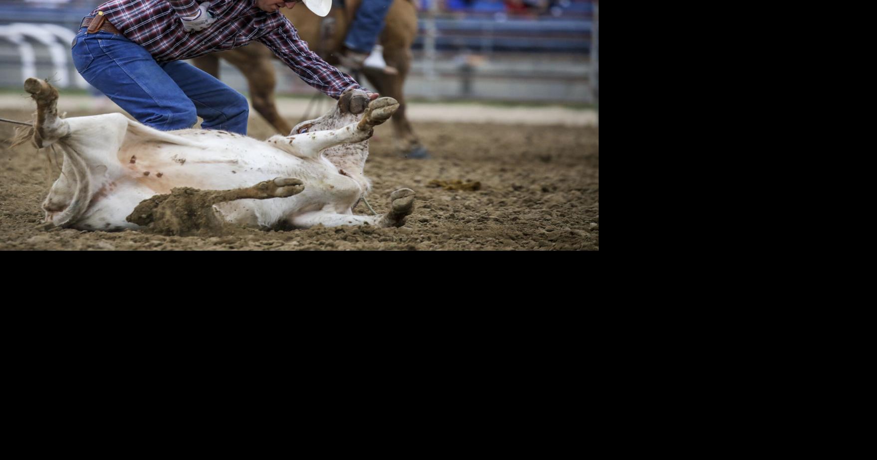 Bring your family down for County Fair Ranch Rodeo | Local News ...